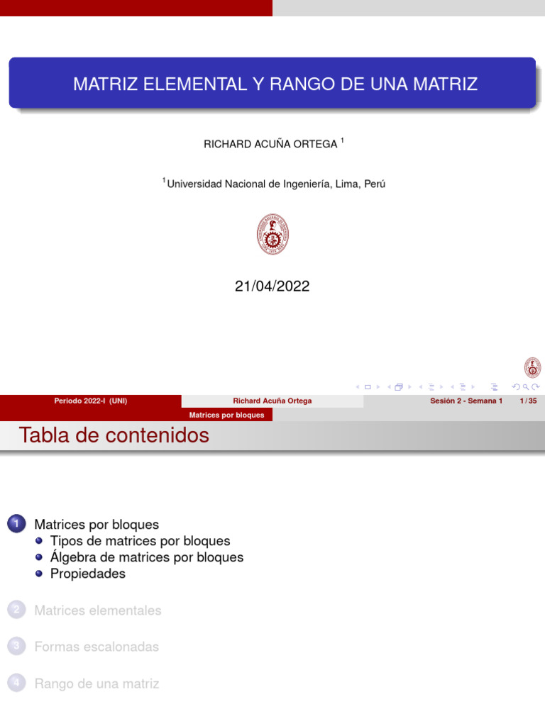 Matriz Elemental Y Rango de Una Matriz: Richard Acuña Ortega | PDF ...