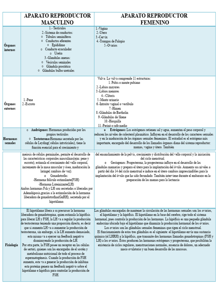 Cuadro Comparativo Aparato Reproductor Masculino y Femenino 4 | PDF | Hormona luteinizante ...