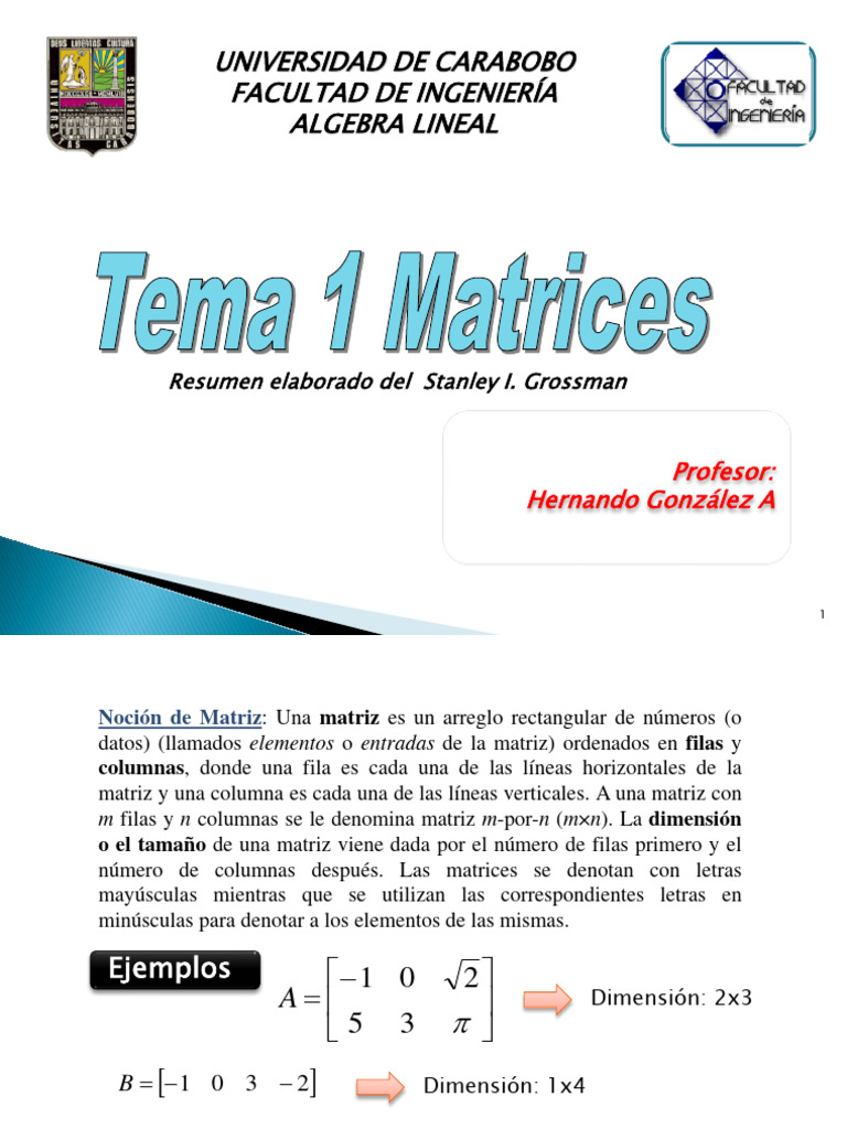 Clase 1 Matrices | PDF | Matriz (Matemáticas) | Álgebra abstracta