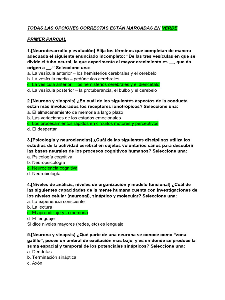 Final Neuro. | PDF | Sinapsis | Neurona