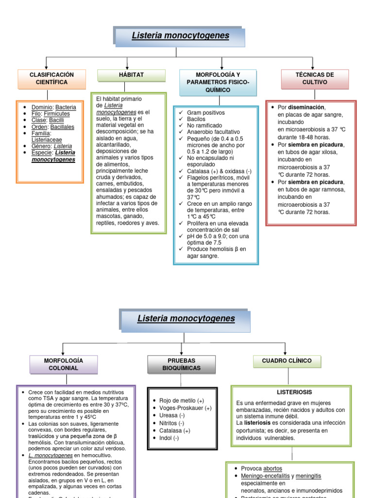 Listeria monocytogenes: Hábitat y Características | PDF | Biología ...