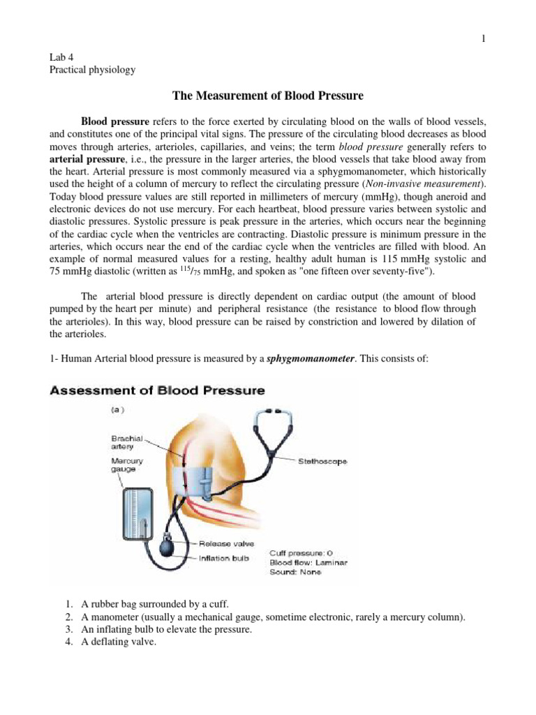 Blood Pressure | Download Free PDF | Blood Pressure | Pressure