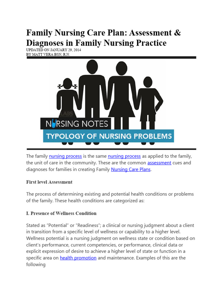 Family Nursing Care Plan 1st and 2nd Level Assessment | Download Free ...