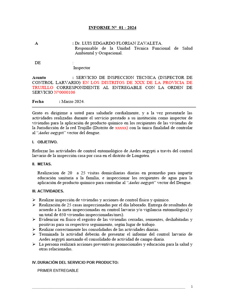 Modelo de Informe InspectorV Trujillo | PDF