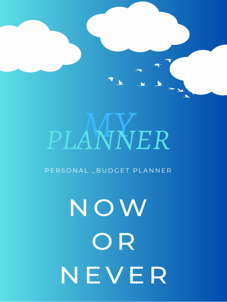 Colorful Monthly Budget Planner | PDF | Economies | Business