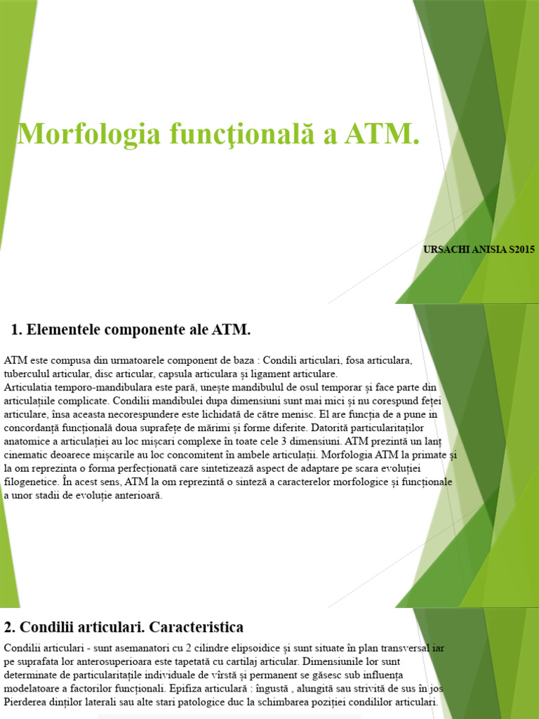 4 Morfo | PDF