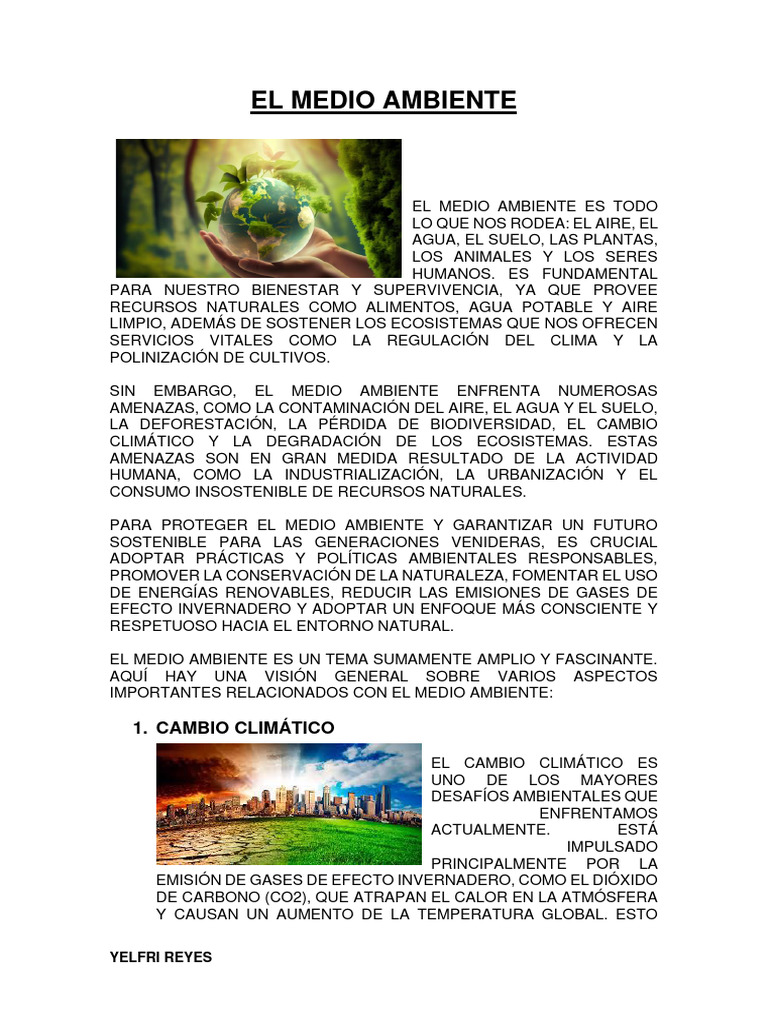 Realice Aqui Su ACTIVIDAD - EL MEDIO AMBIENTE | PDF | Entorno natural ...