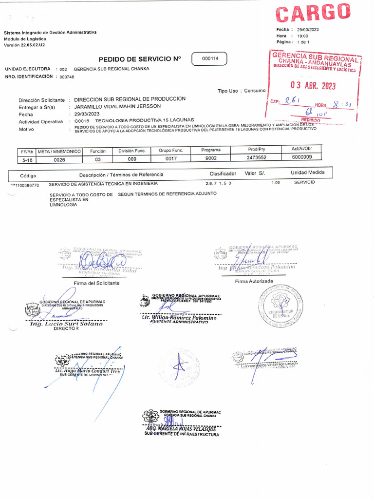 tdr (2) | PDF | Gobierno | Justicia