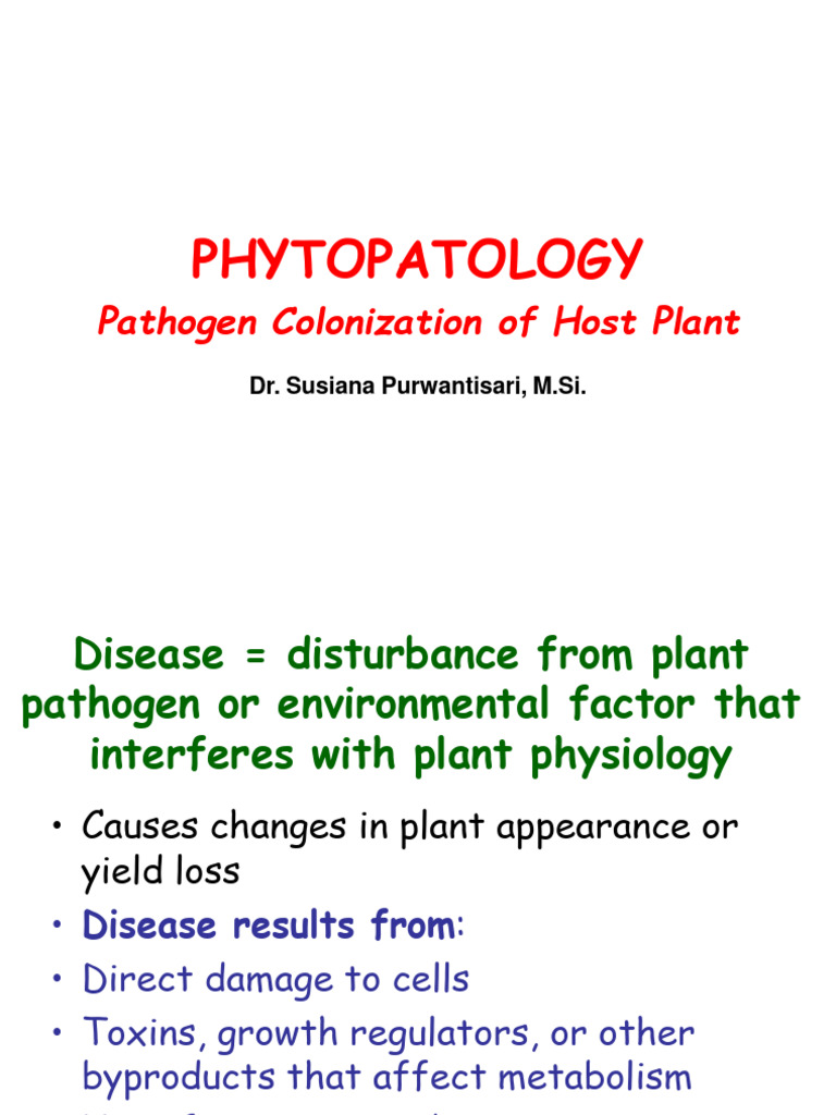 Kolonisasi Patogen Pada Tanaman Inang | PDF | Virus | Pathogen