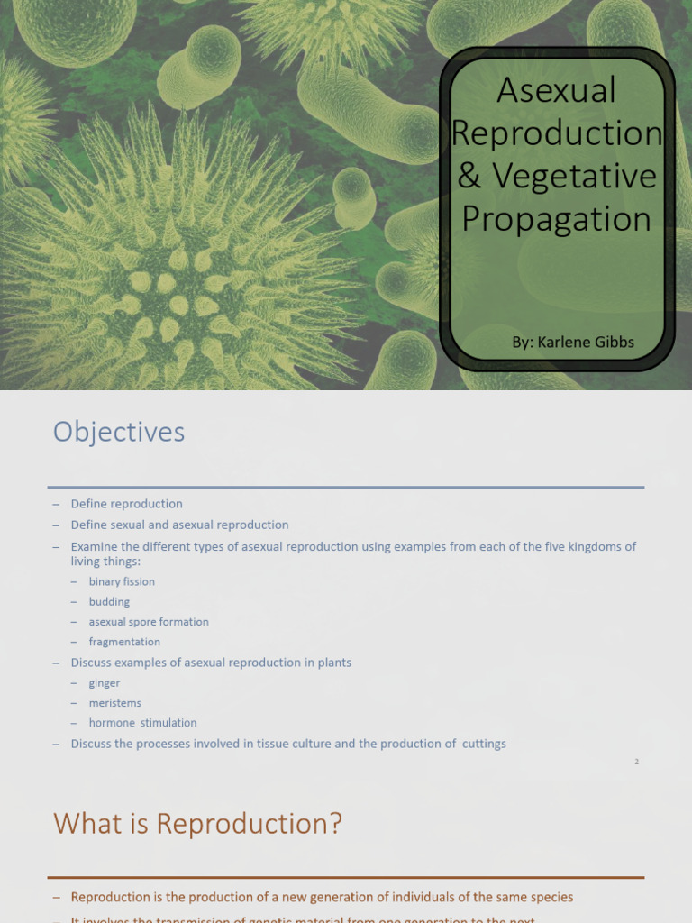 Presentation 1- Asexual Reproduction Vegetative Propagation | PDF ...