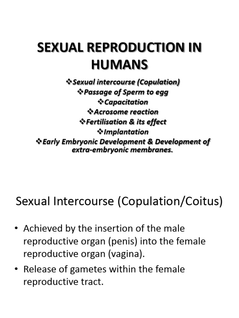 Sexual Reproduction in Humans | PDF | Fertilisation | Uterus