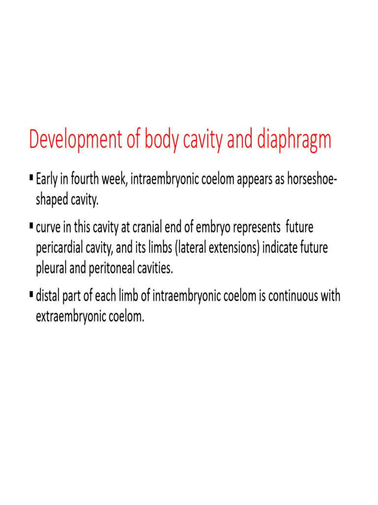 Development of Body Cavity and Diaphragm | PDF | Peritoneum | Tongue