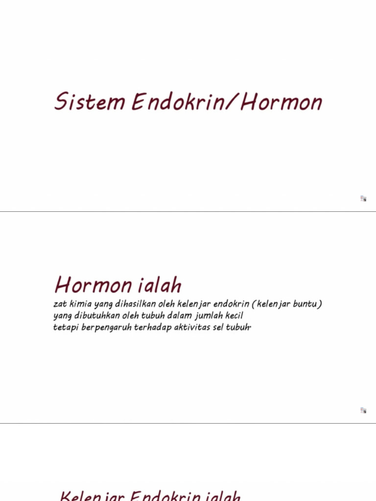 Sistem Endokrin | PDF
