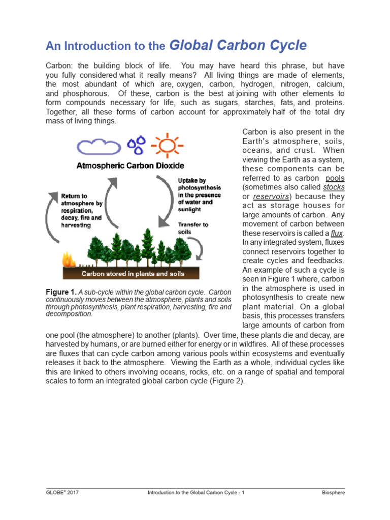 Introduction To Global Carbon Cycle | PDF | Carbon Cycle | Greenhouse Gas