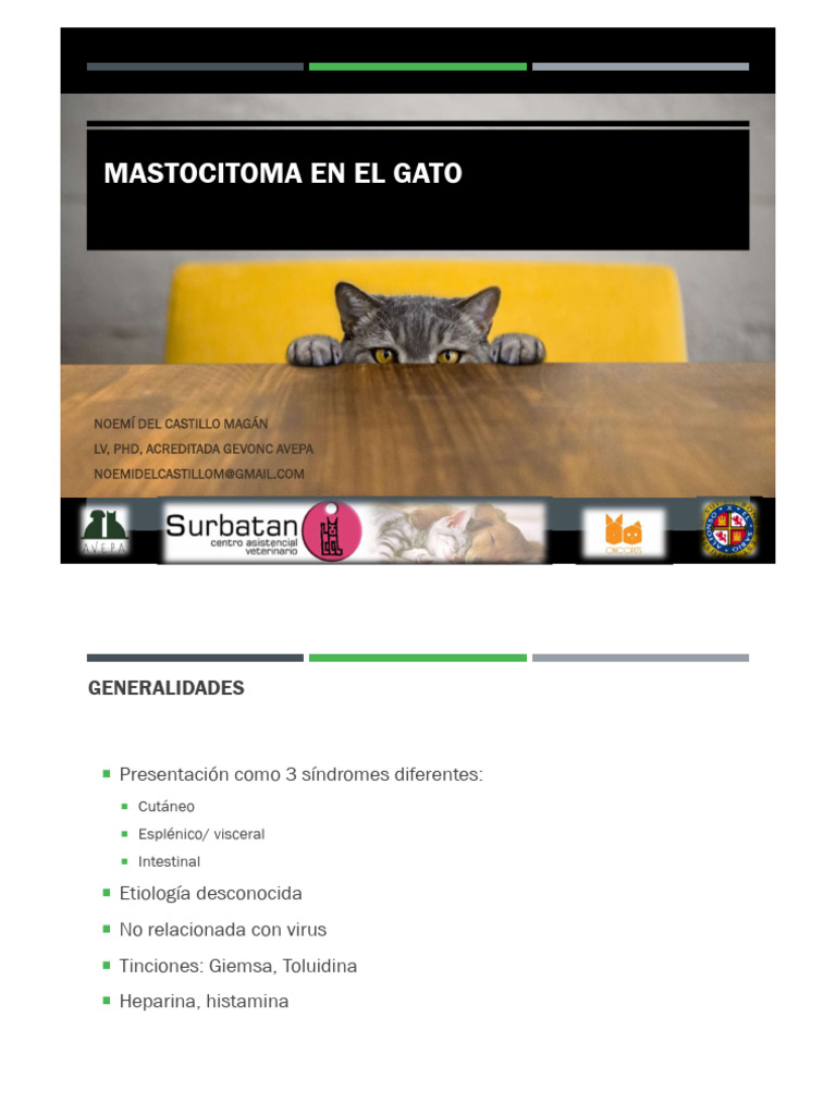 Mastocitoma en El Gato: Noemí Del Castillo Magán LV, PHD, Acreditada ...