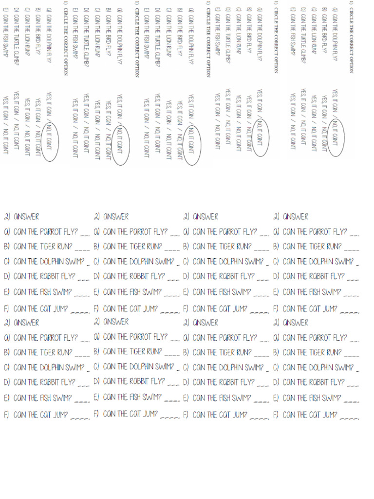 Can Questions Activities | PDF