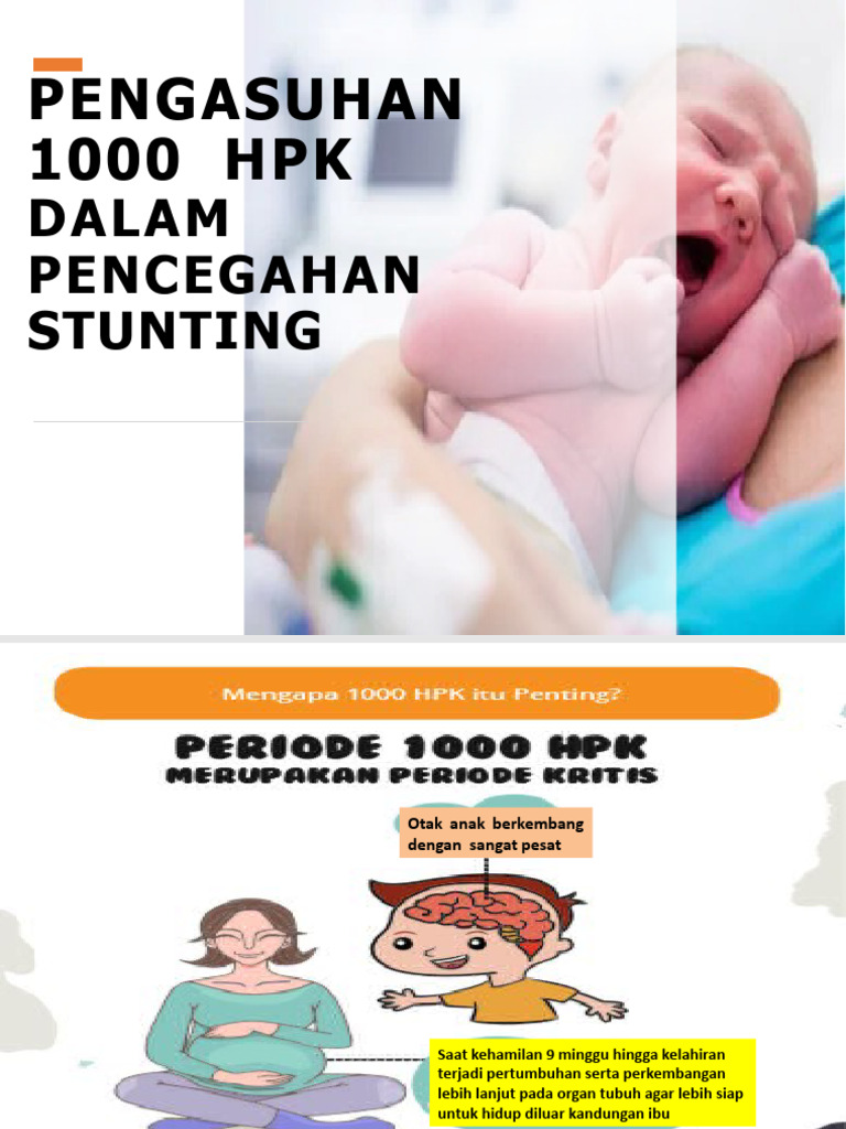 Pengasuhan 1000 HPK | PDF