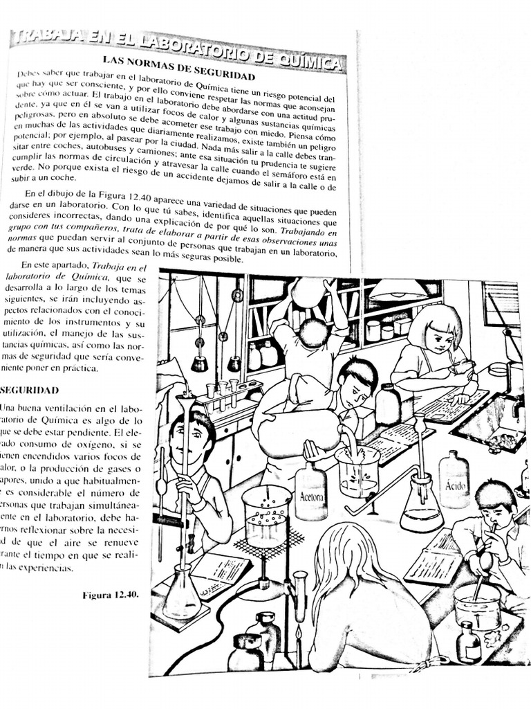 04.seguridad en El Laboratorio | PDF