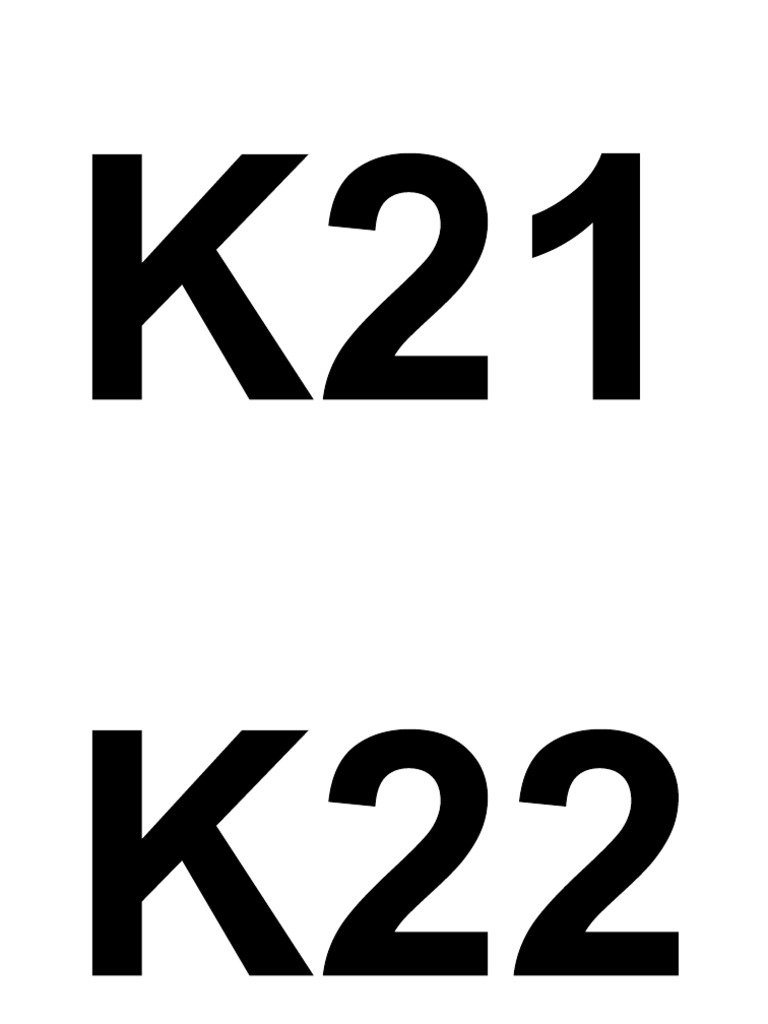 K21 K30 | PDF