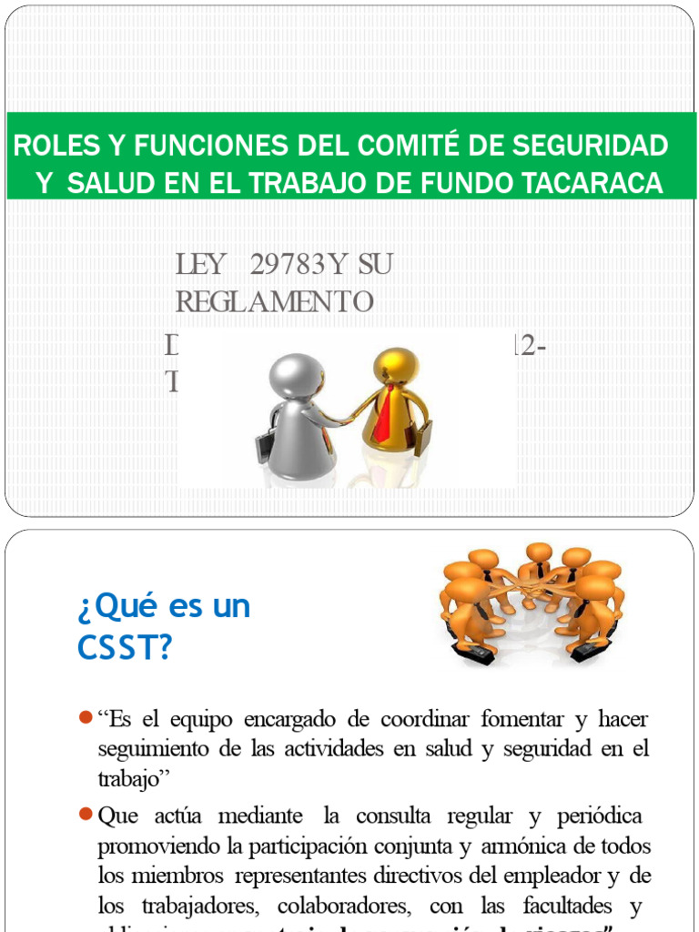 Roles y Funciones del CSST | PDF