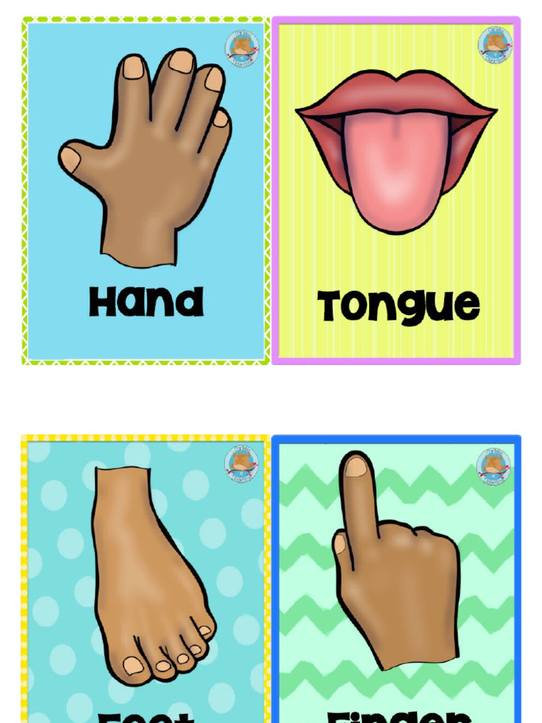 Partes Del Cuerpo En Ingles Dibujos Pdf