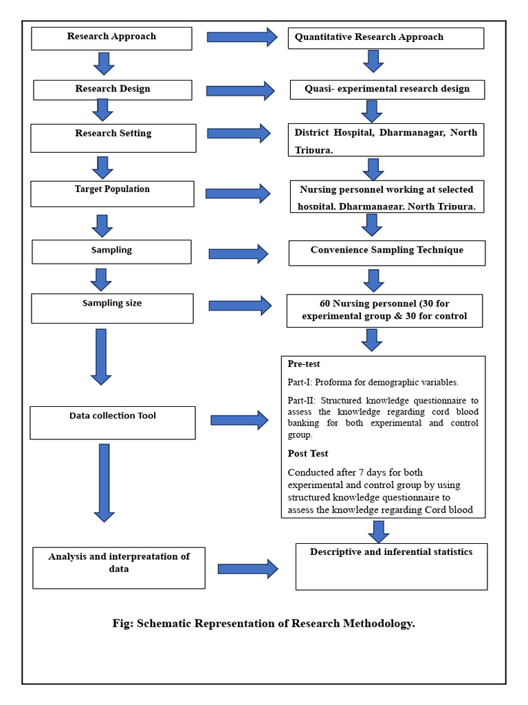 METHODOLOGY | PDF | Validity (Statistics) | Sampling (Statistics)