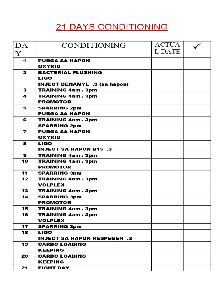 21 Days Conditioning | PDF