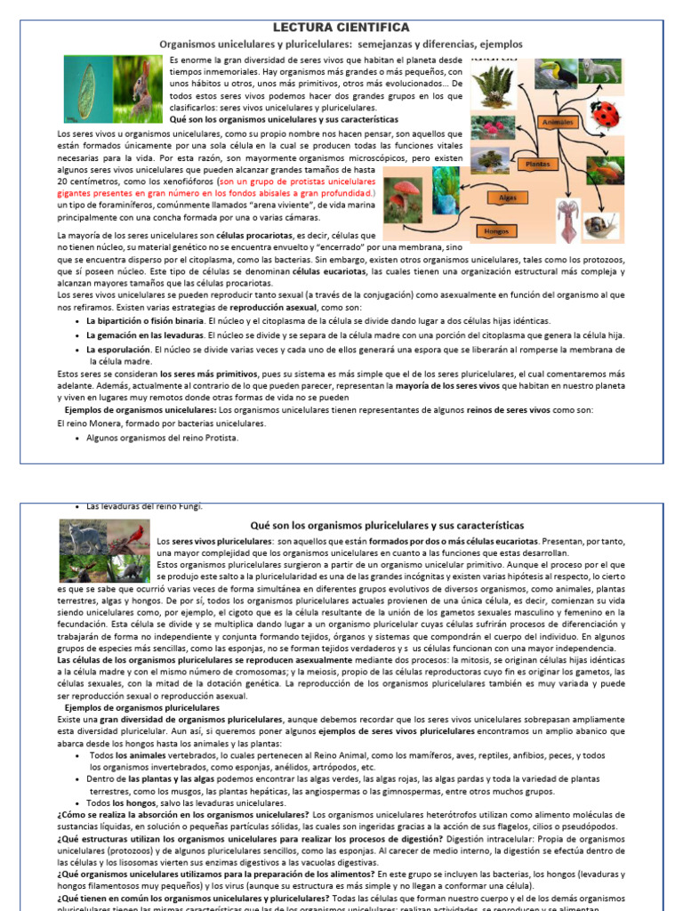 Lectura Cientifica 2 Segundo Pdf Biología Celular Organismos