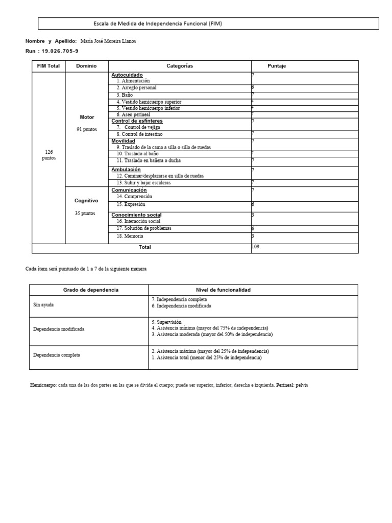 Escala de Medida de Independencia Funcional (FIM) | PDF