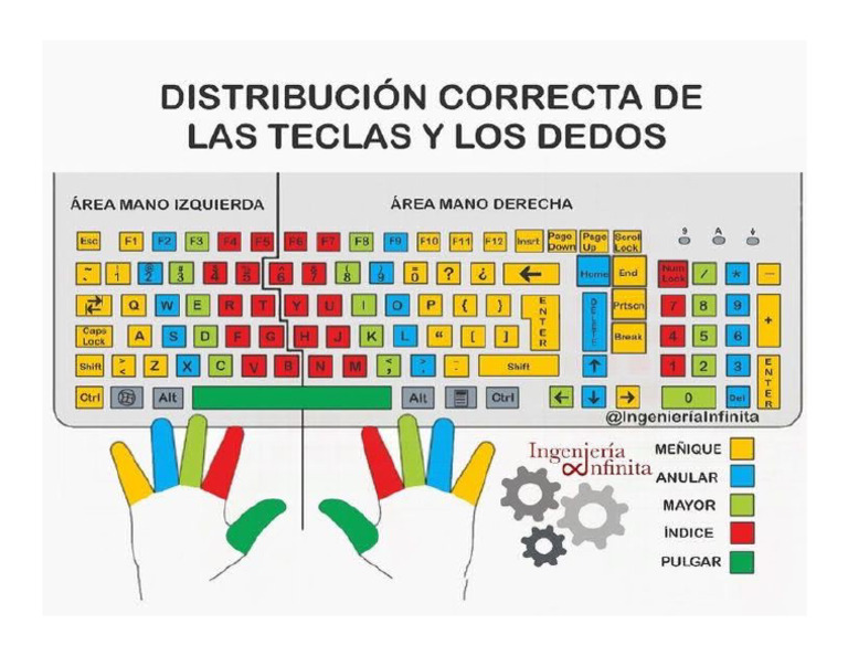 mecanografia...distribucion correcta de las teclas y los dedos | PDF