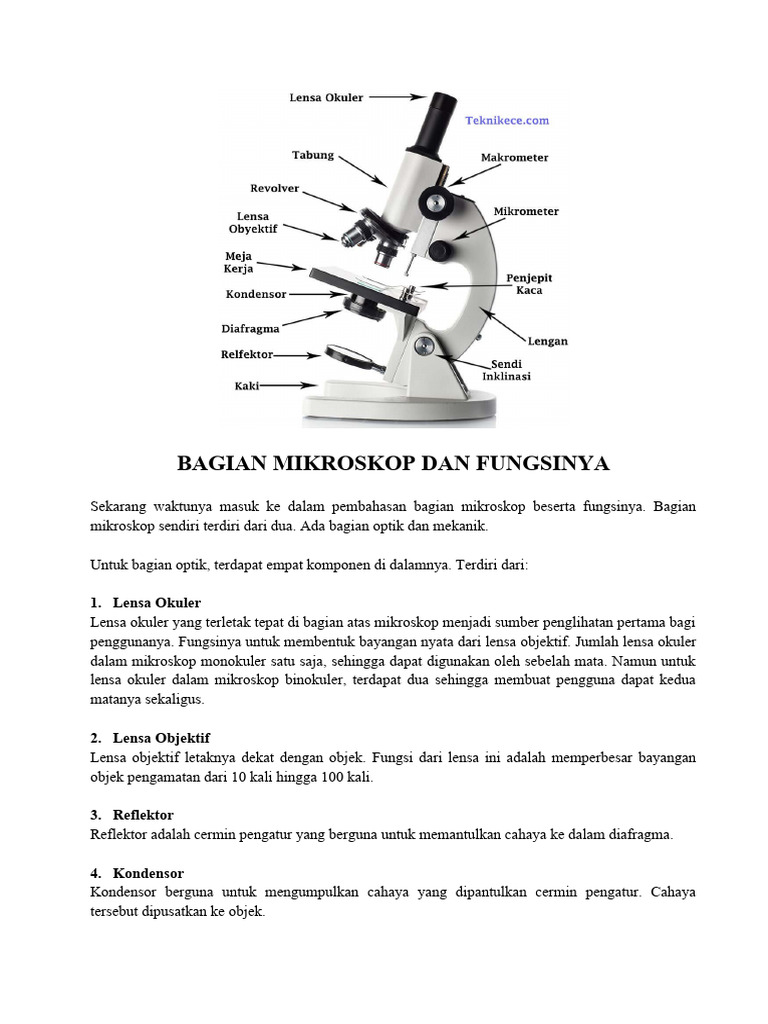 Bagian Mikroskop Dan Fungsinya | PDF