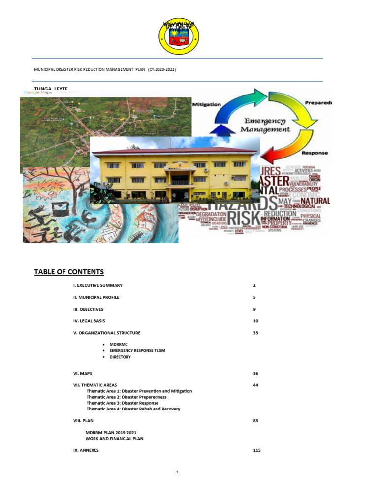 Thematic Area 1 - Disaster Prevention and Mitigation | PDF | Disaster ...