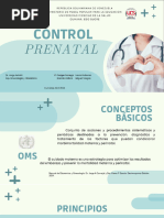 Carpeta Control Prenatal | PDF