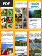 Clima y Biodiversidad de la Yunga | PDF | Plantas | Naturaleza