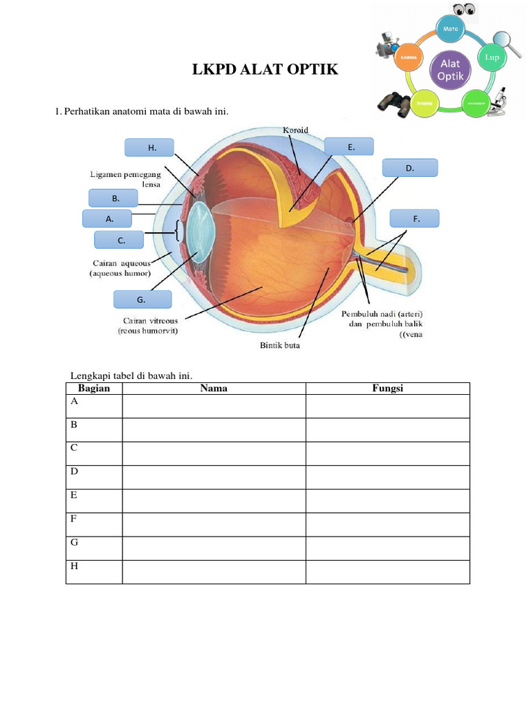 LKPD Alat Optik dan Anatomi Mata | PDF