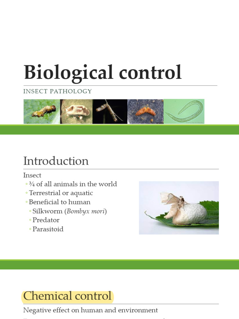 CPRO 0413 IV. Insect Pathology | PDF | Infection | Pathogen