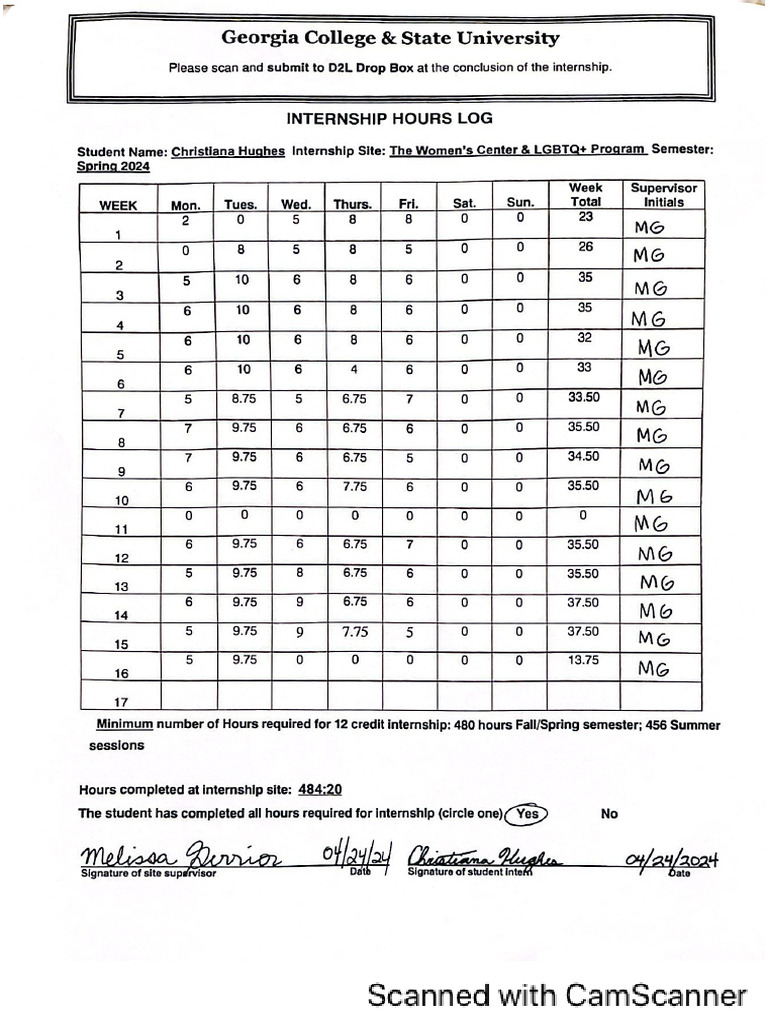 Hughes Internship Hours Log | PDF