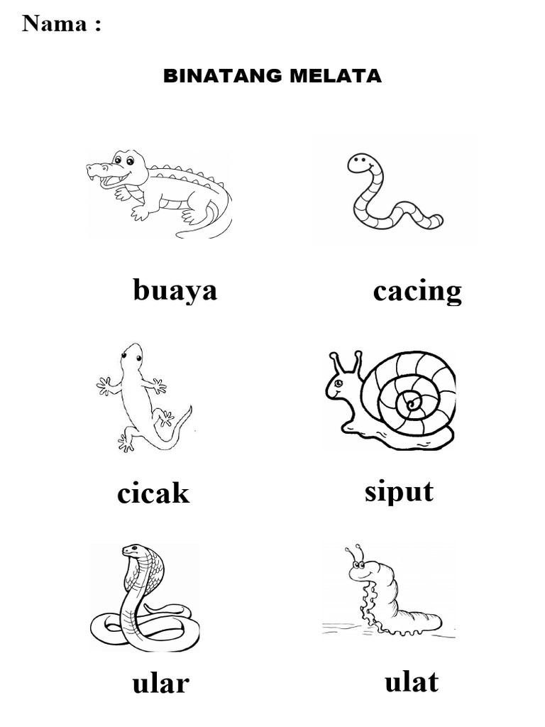 Binatang Melata: Buaya hingga Ulat | PDF