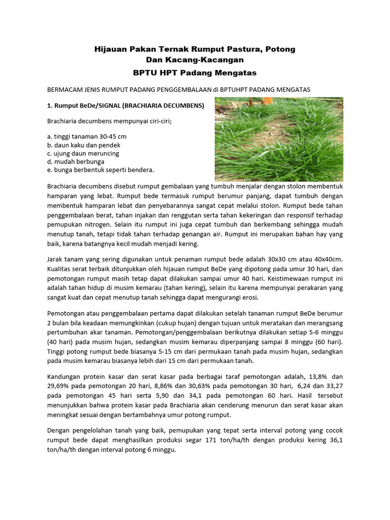 Jenis Rumput HPT Bptu HPT Padang Mengatas | PDF