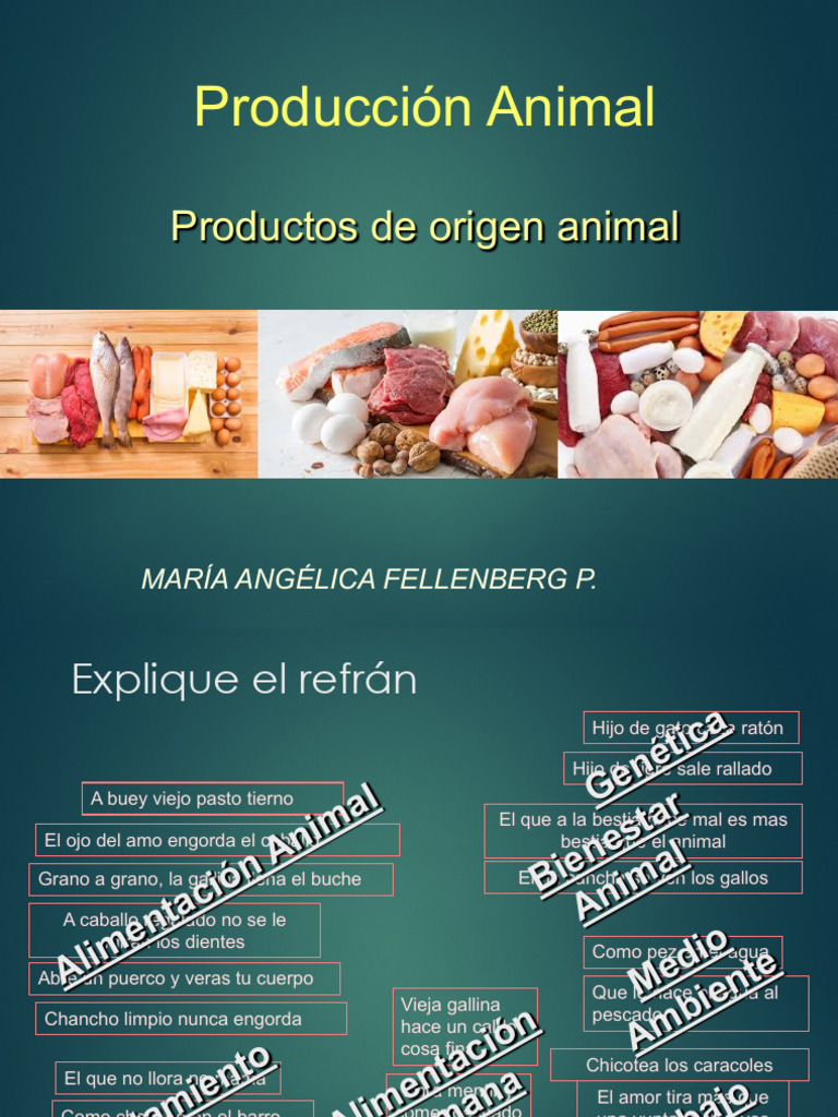 Clase 1 Productos de Origen Animal | PDF | Carne | Leche