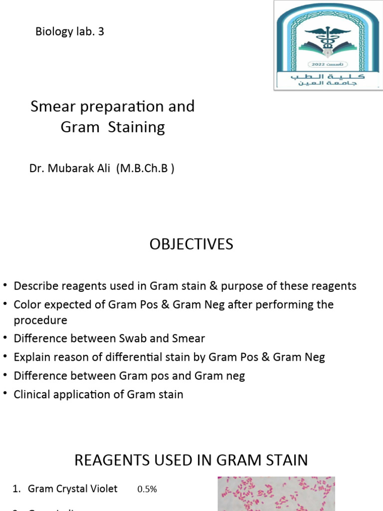 Cell Biologylab 3 Gram Stain - 120135 | PDF | Staining | Gram Positive ...