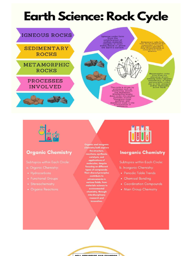 TEACHING SCIENCE - Different Types of Organizational Charts | PDF
