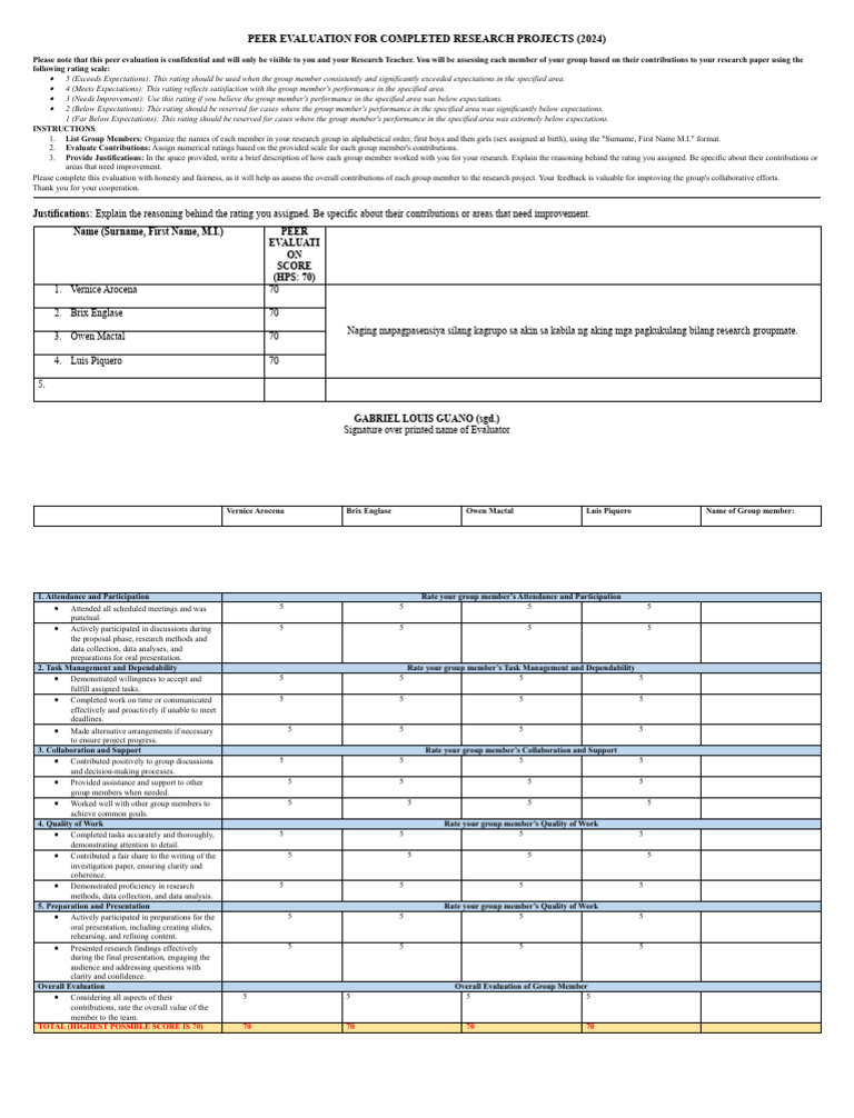 PEER-EVALUATION-FOR-COMPLETED-RESEARCH-PROJECTS-2024 | PDF | Human ...