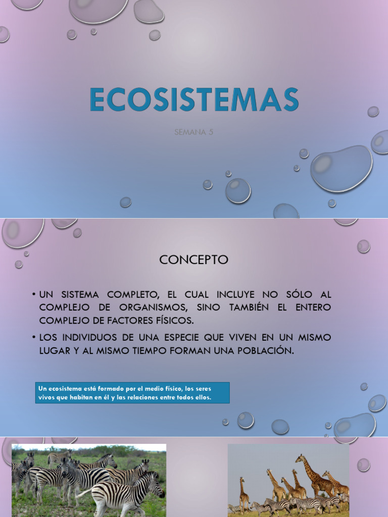 S5 - ECOSISTEMAS | PDF | Ecosistema | Depredación