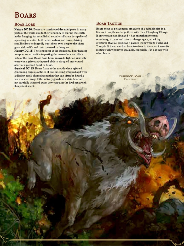 Boars - The Homebrewery | PDF | Wild Boar