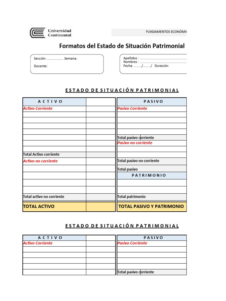 Formatos de Los EEFF | PDF | Hoja de balance | Estado de resultados