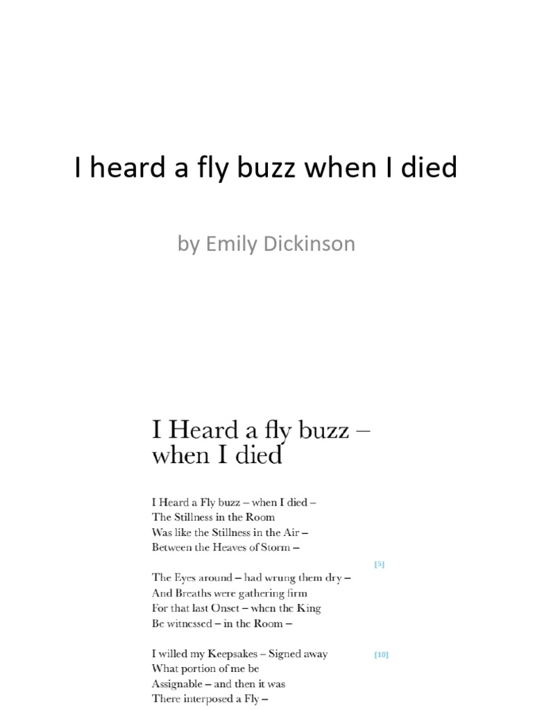 I Heard A Fly Buzz When I Died | PDF | Metre (Poetry)