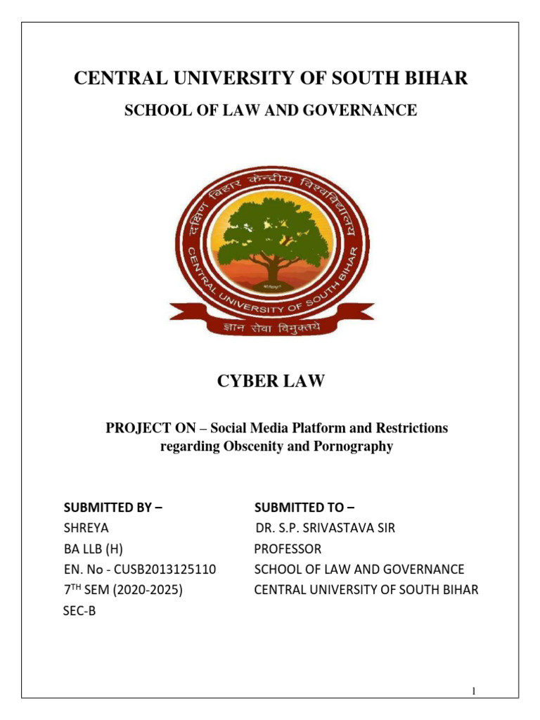 Cyber Law Assignment | PDF | Obscenity | Social Media