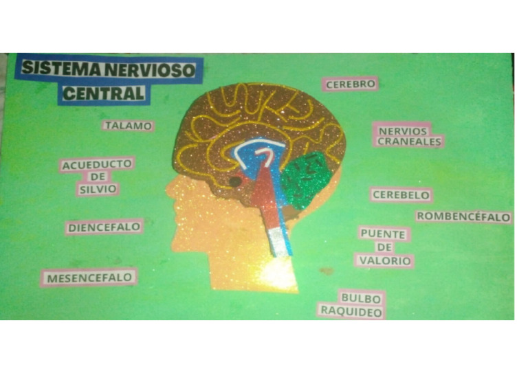 Maqueta Grupo 9 - Josue Alejandro Bazan Chavez | PDF