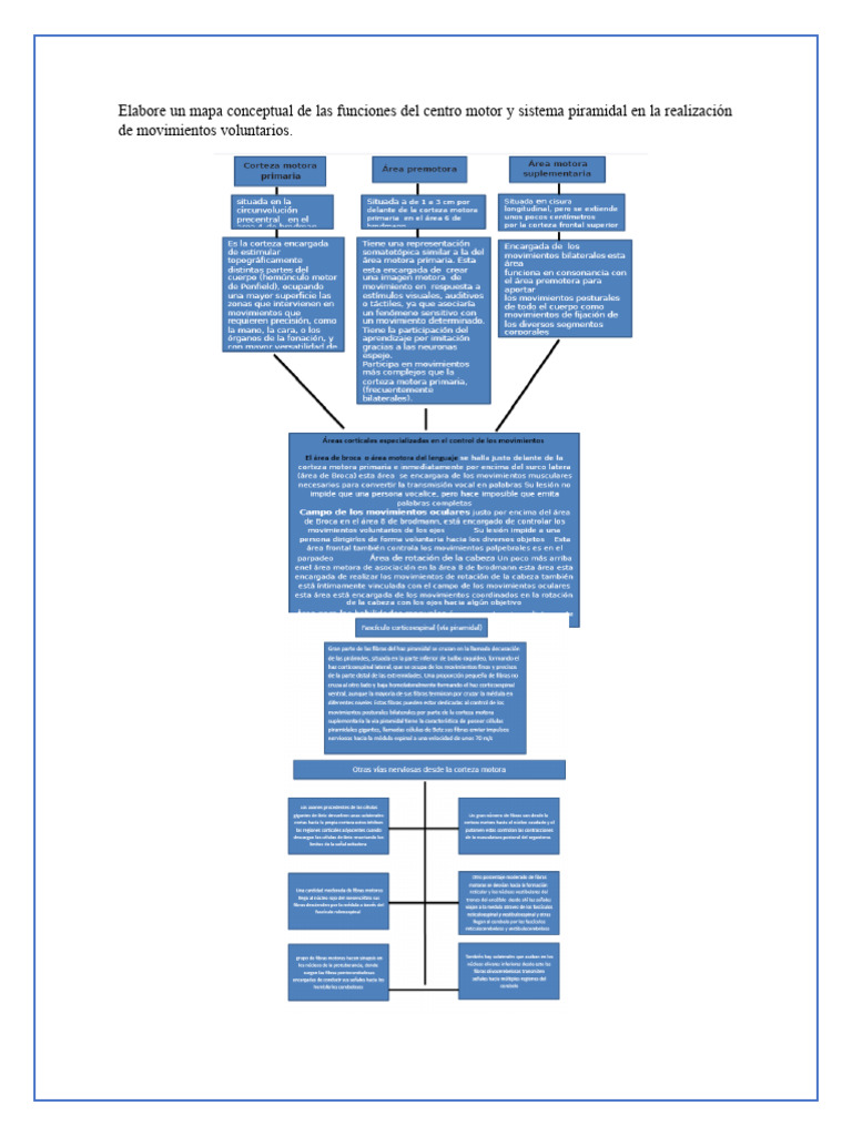 Elabore Un Mapa Conceptual de Las Funciones Del Centro Motor y Sistema Piramidal en La ...